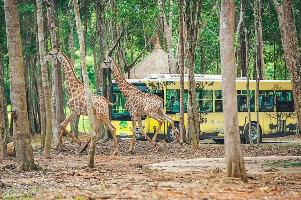 [Klook Free and Easy] Phu Quoc Northern Full Day Tour - Klook Philippines